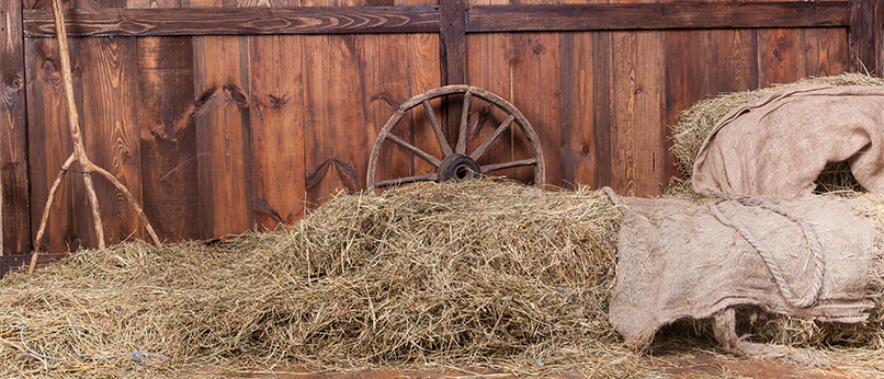 The Village Farm - Embro - Sinclair Homes